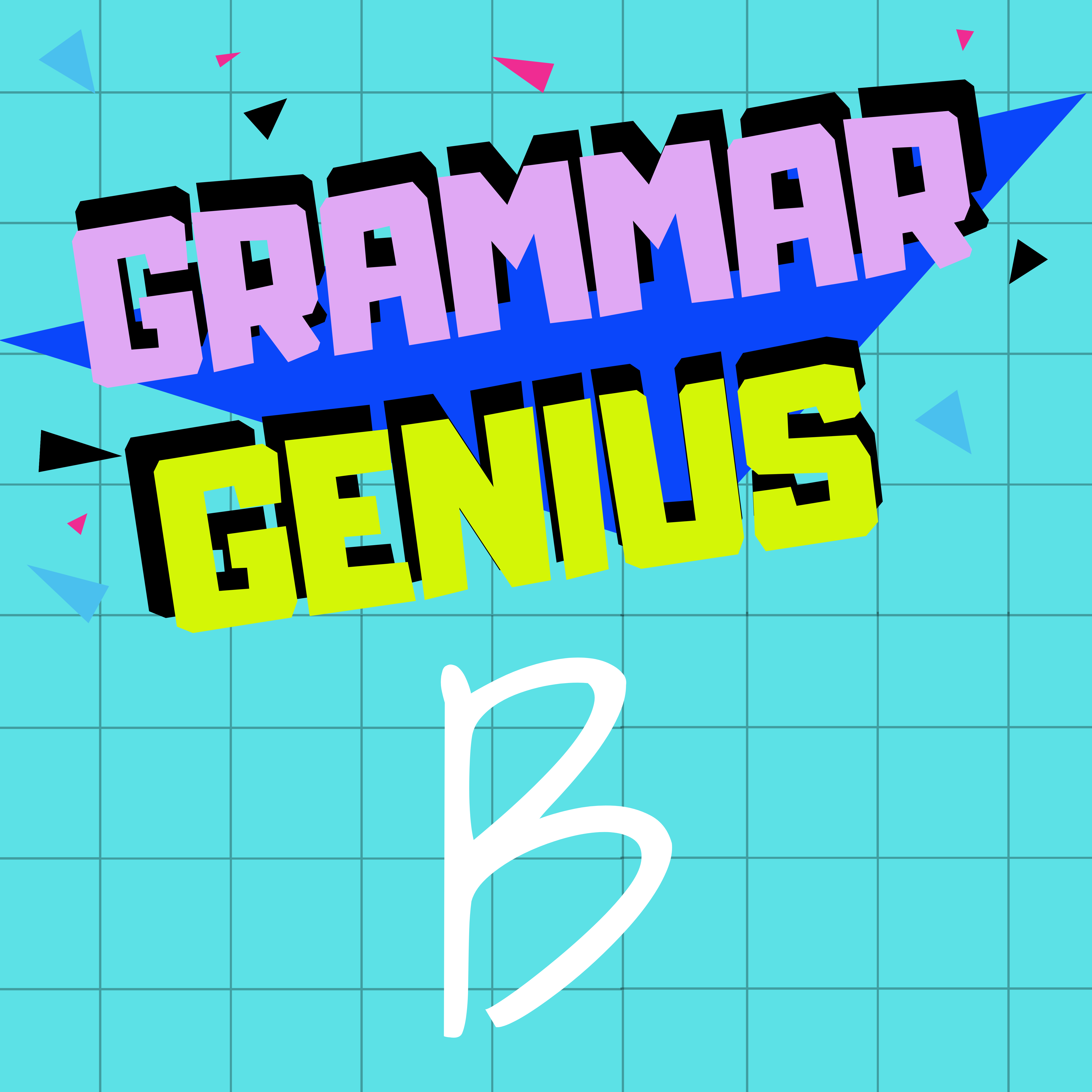 GRAMMAR GENIUS B – FUNTASTIC LEARNGUAGE
